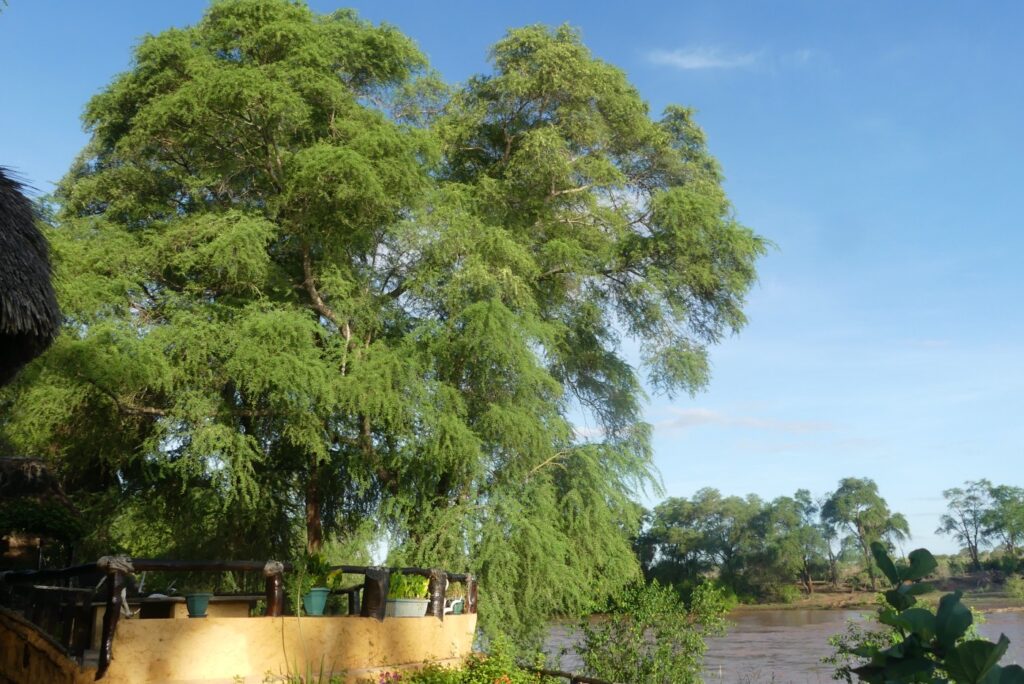 Kulalu Camp – The little camp that cares